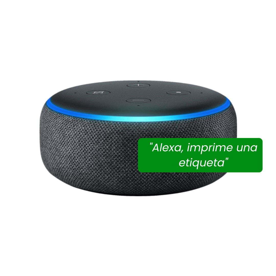 Gestión de restaurante por voz con iflares